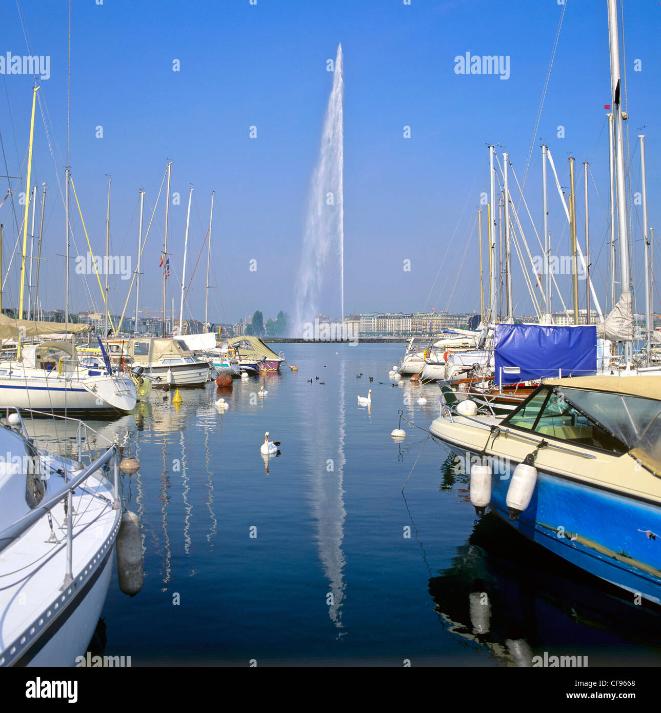 Switzerland, Europe, Geneve, Geneva, fountain, Jet d'Eau, marina, lake ...