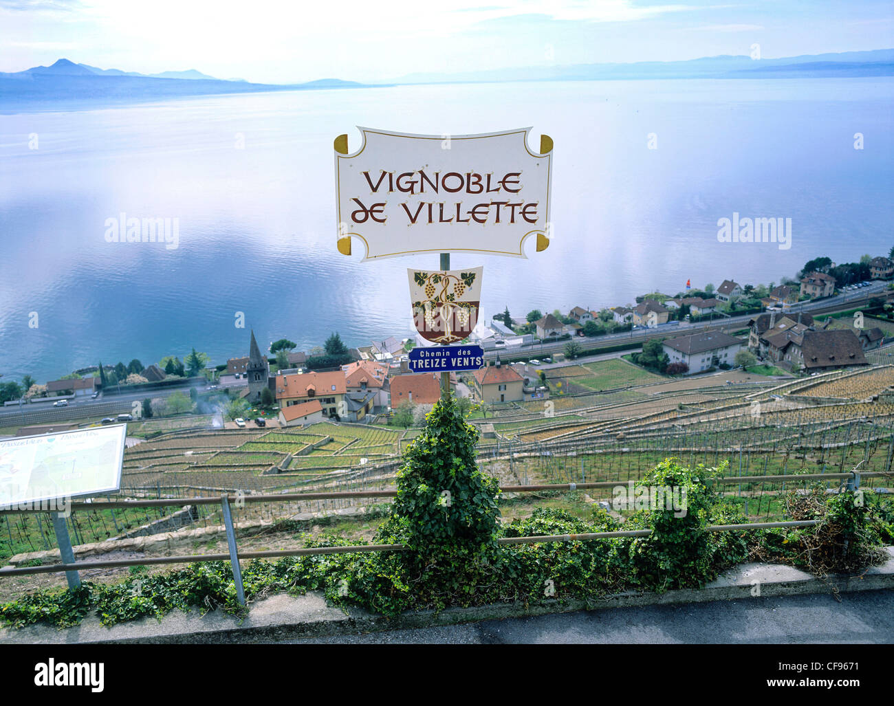 Switzerland, Europe, Vaud, vineyard, landscape, Lac Leman, Villette ...