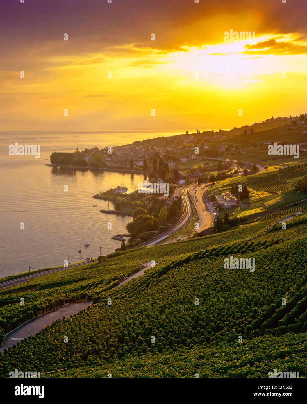 Switzerland, Europe, Vaud, Lavaux, Cully, Lac Leman, lake, sunset ...