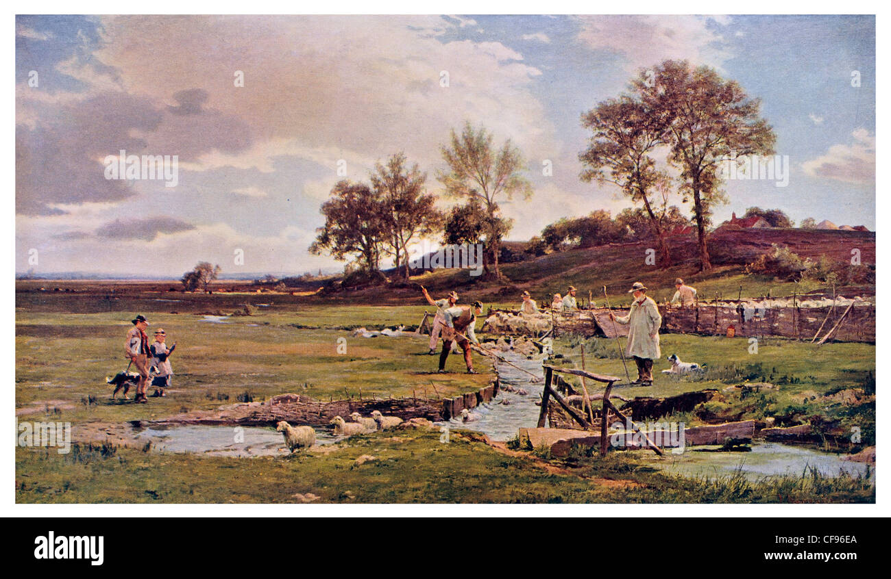 Sheep Washing by James Aumonier landscape stream dipping farm farmer ...
