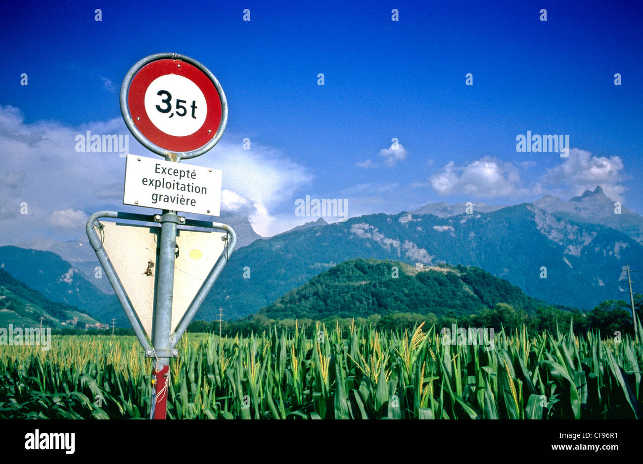 Switzerland, Europe, Vaud, landscape, traffic-sign, corn, Alps ...
