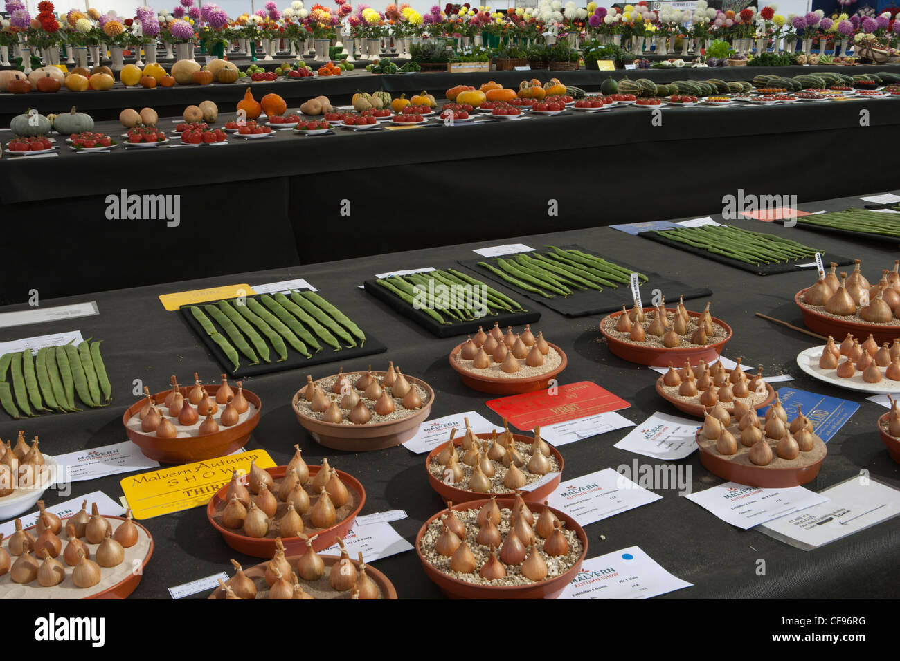 Prize vegetables hi-res stock photography and images - Alamy
