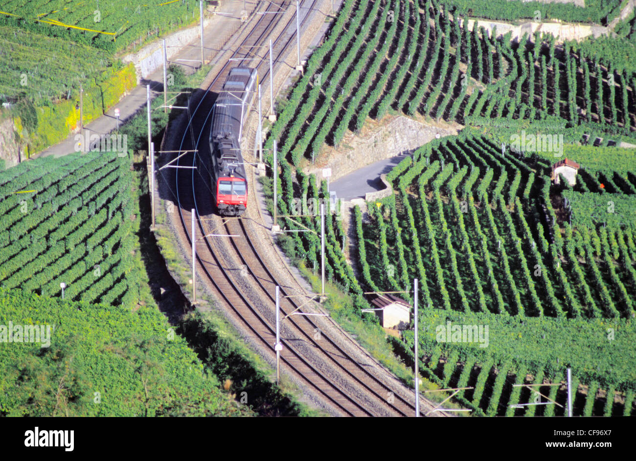 Switzerland, Europe, Vaud, La Cote, vineyard, train, railroad ...