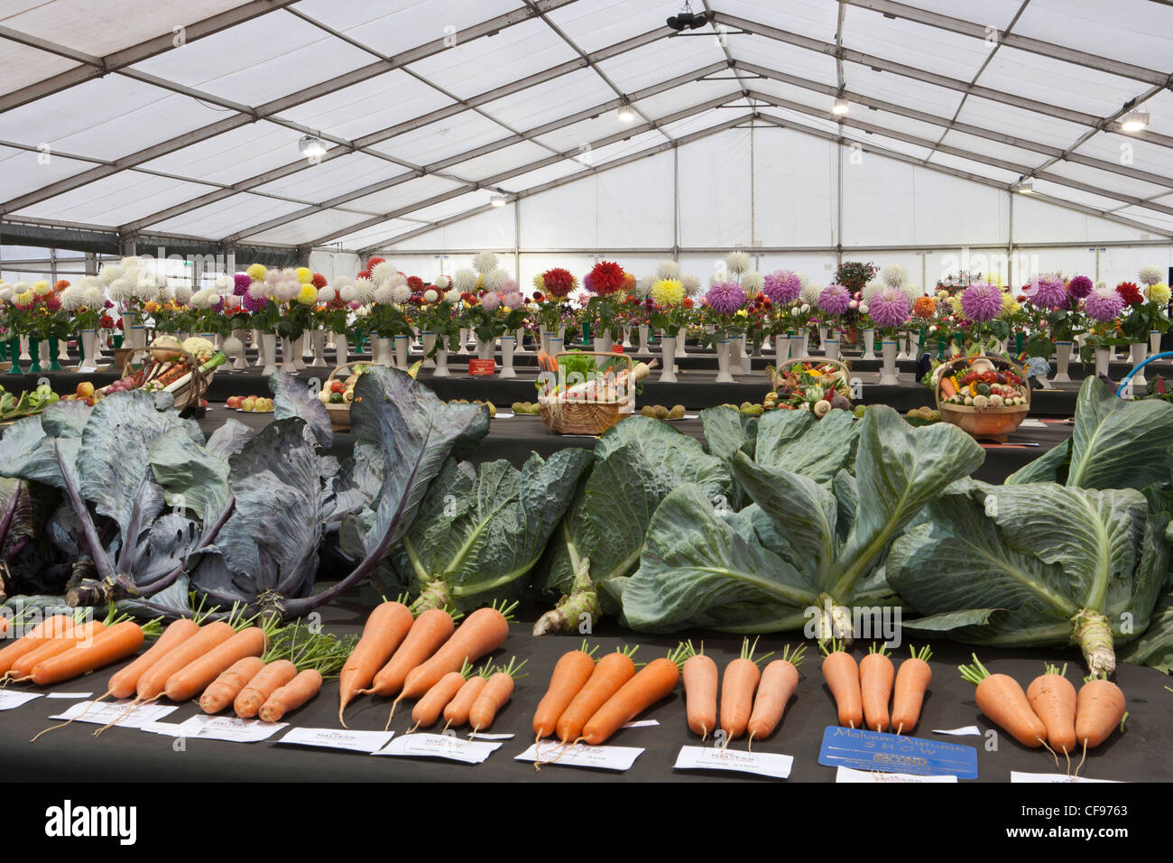 Prize winning vegetable hi-res stock photography and images - Alamy