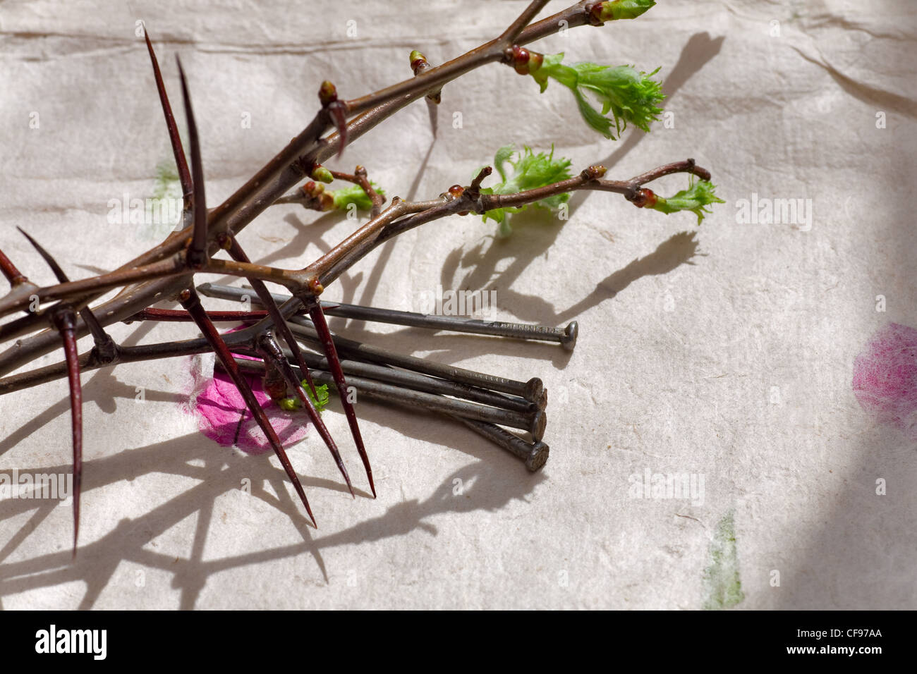 Thorn crown hi-res stock photography and images - Alamy