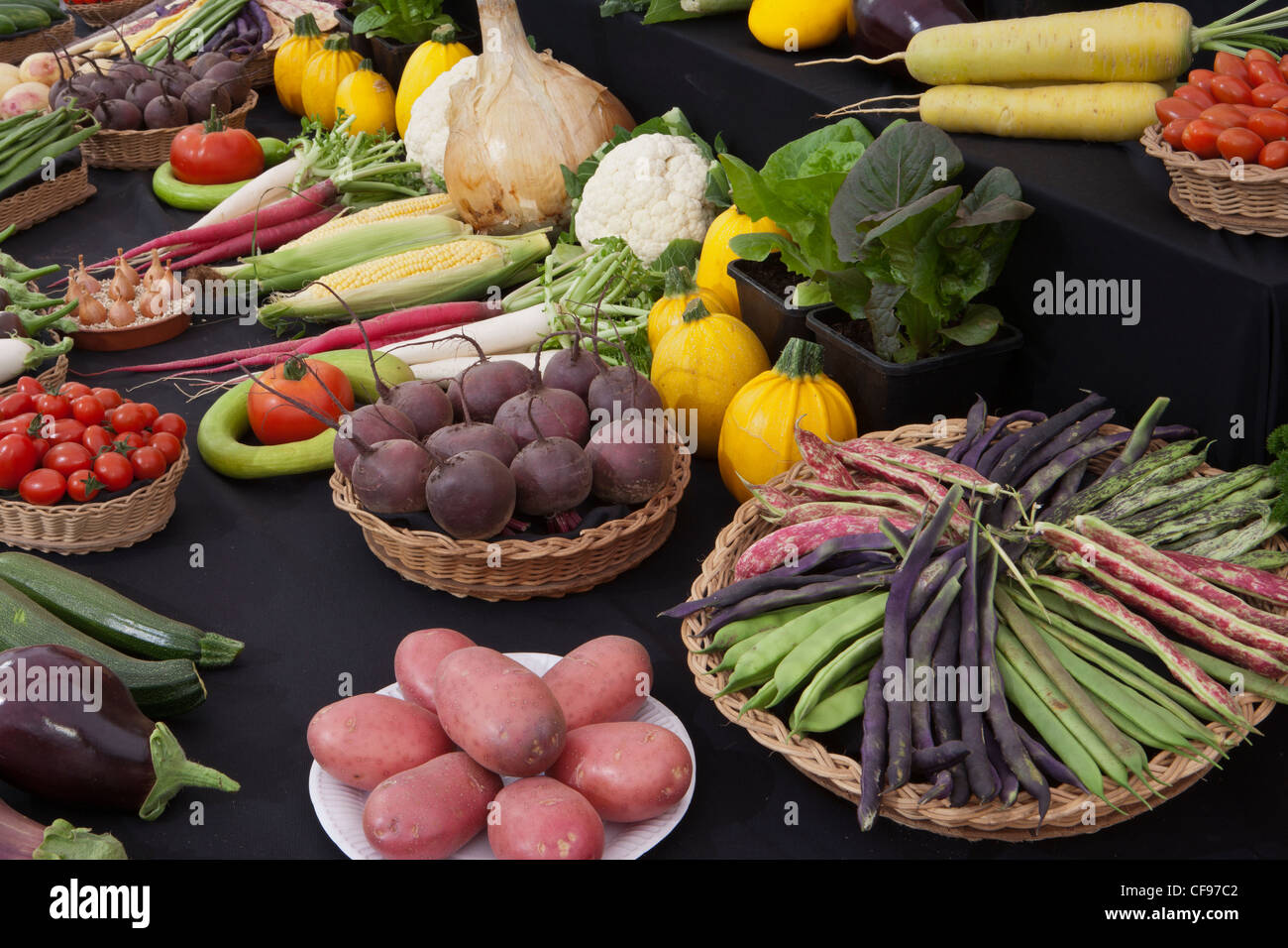 Prize winning vegetables at Malvern Autumn Show 2011 Three Counties ...