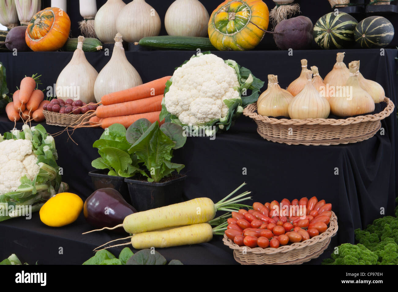 Prize winning vegetables at Malvern Autumn Show 2011 Three Counties ...