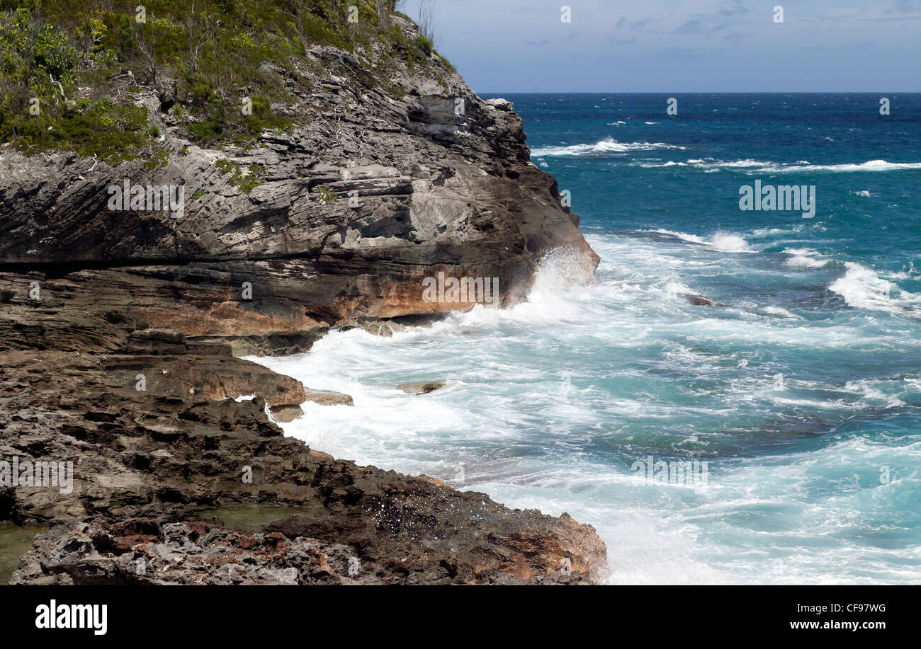 Coastal section of Spittal Pond Nature Reserve, Smith's Parish, Bermuda ...