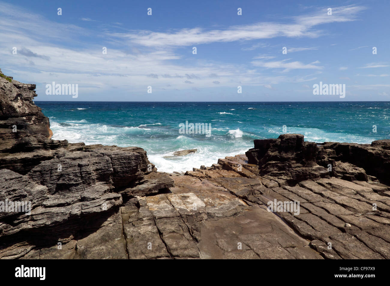 Bermuda spittal pond nature reserve hi-res stock photography and images ...