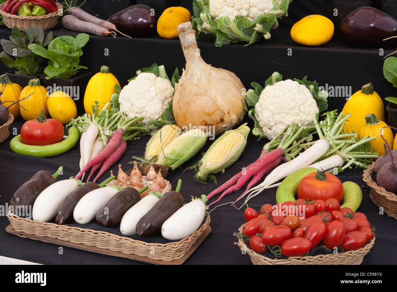 Prize winning vegetables at Malvern Autumn Show 2011 Three Counties ...