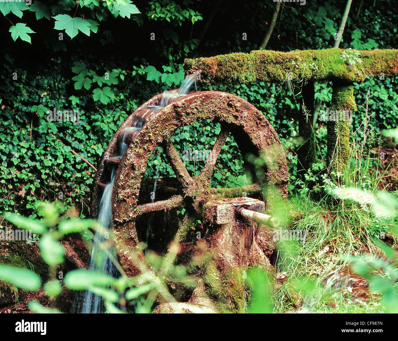 Waterwheel, historically, Plants, moss, quarrel mountain, Germany Stock ...