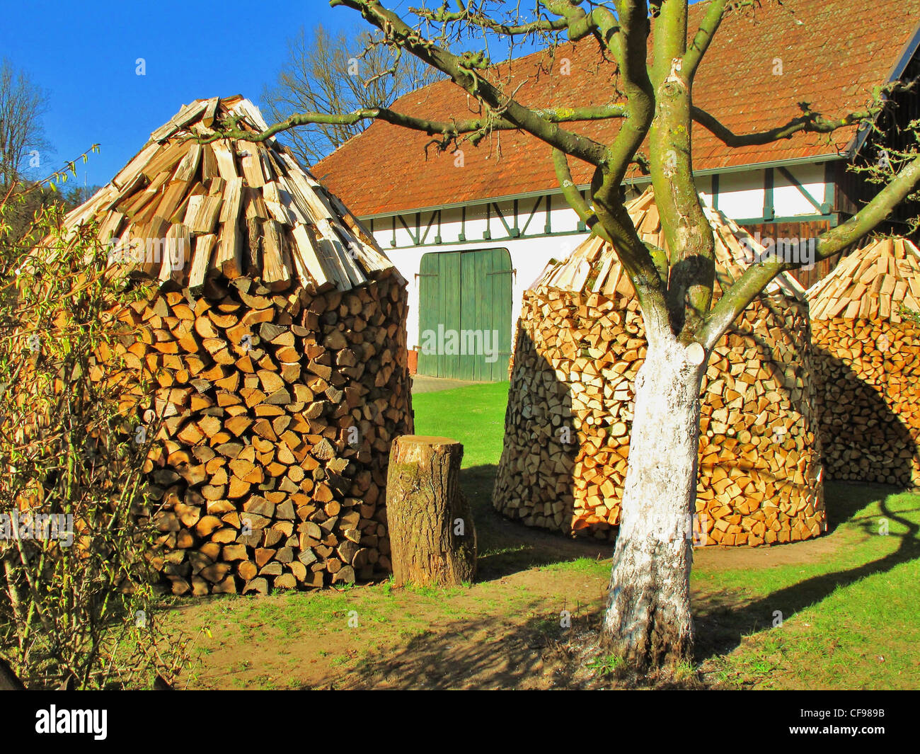 Wood, firewood, pile, large amount, barn, Upper Palatinate, Germany ...