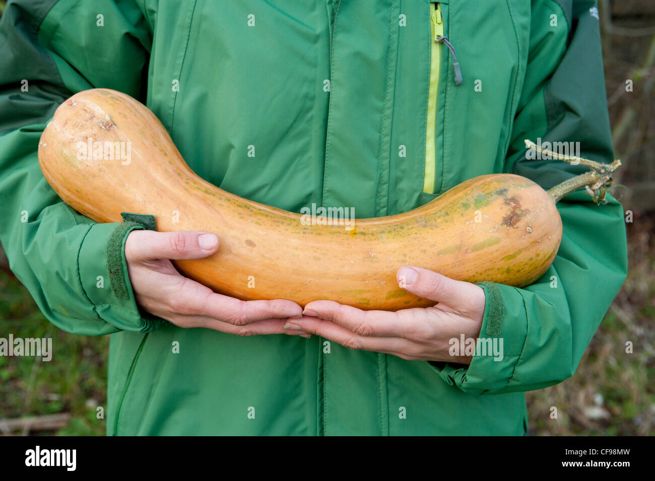 Long green squash hi-res stock photography and images - Alamy