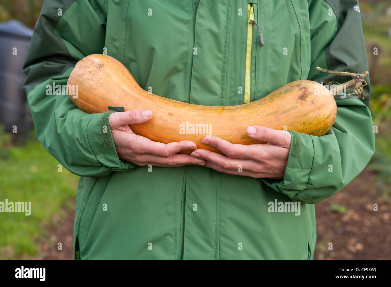 Long green squash hi-res stock photography and images - Alamy