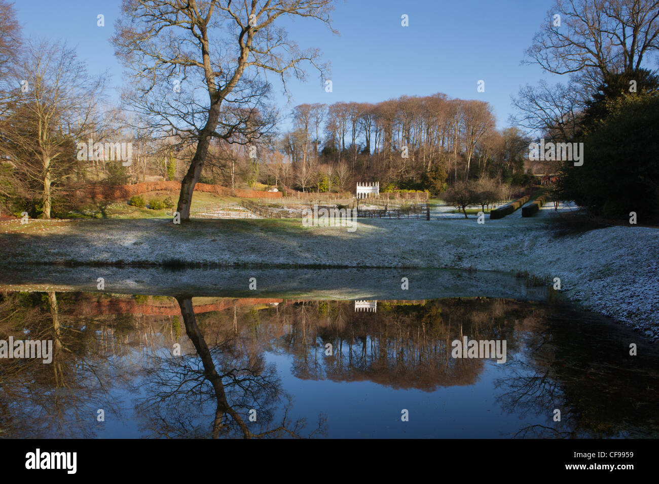 Snowdrops snowdrops garden gardens in woodland at Painswick Rococo ...