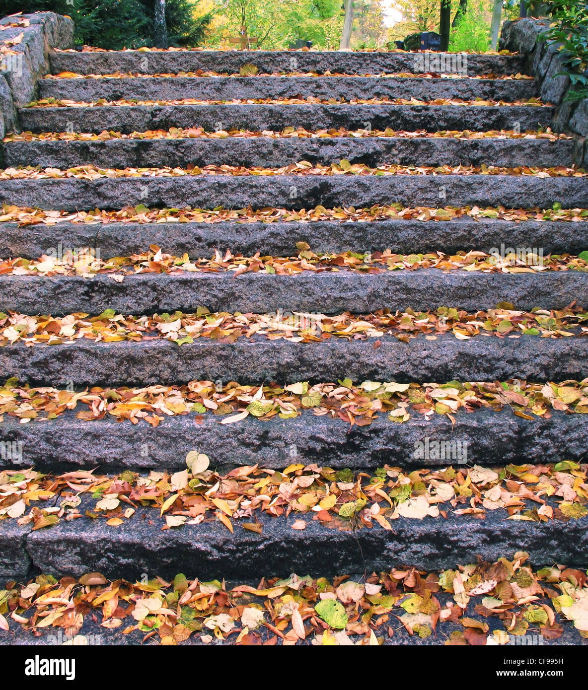 Stair, stone, autumn, leaves, foliage, Nuremberg, Germany Stock Photo ...