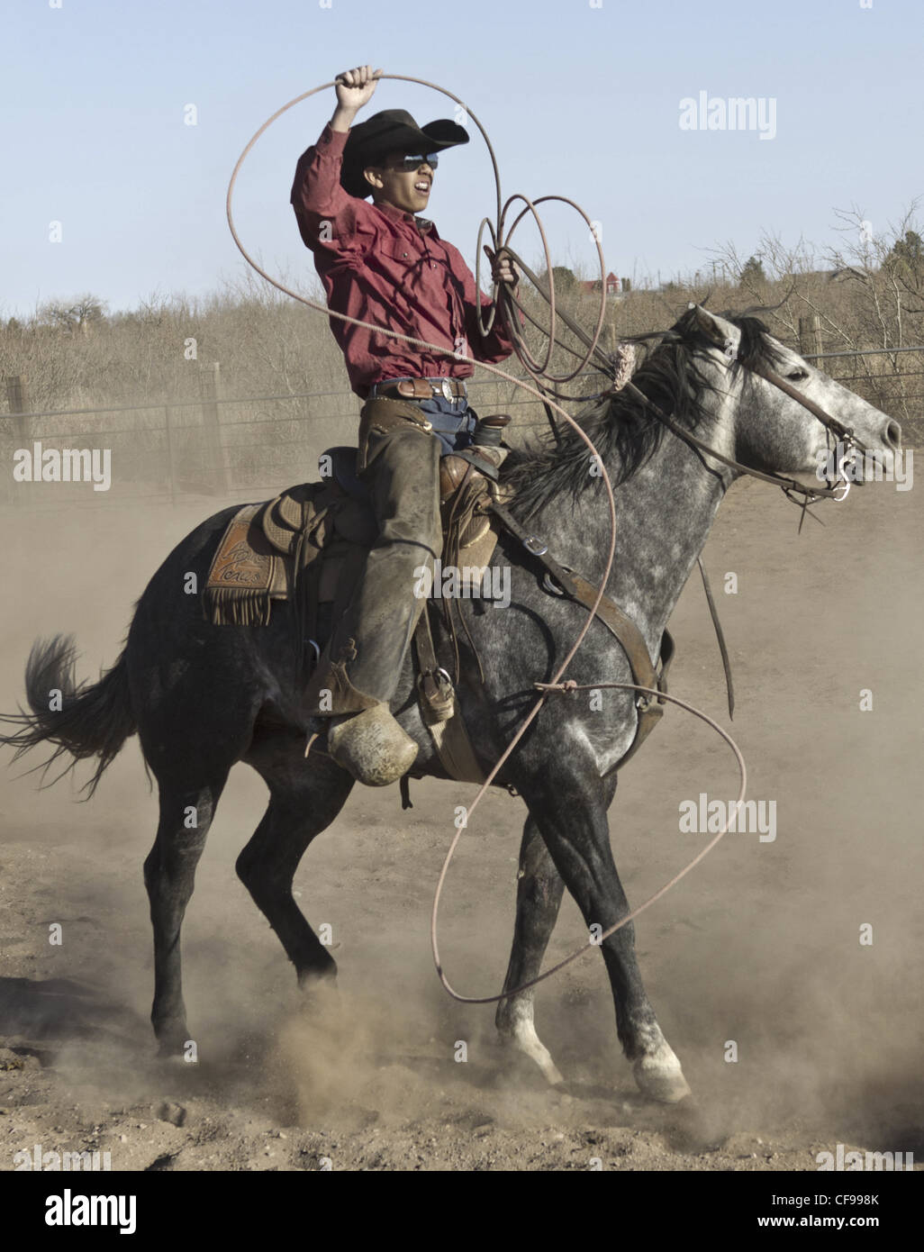 Team calf roping hi-res stock photography and images - Alamy