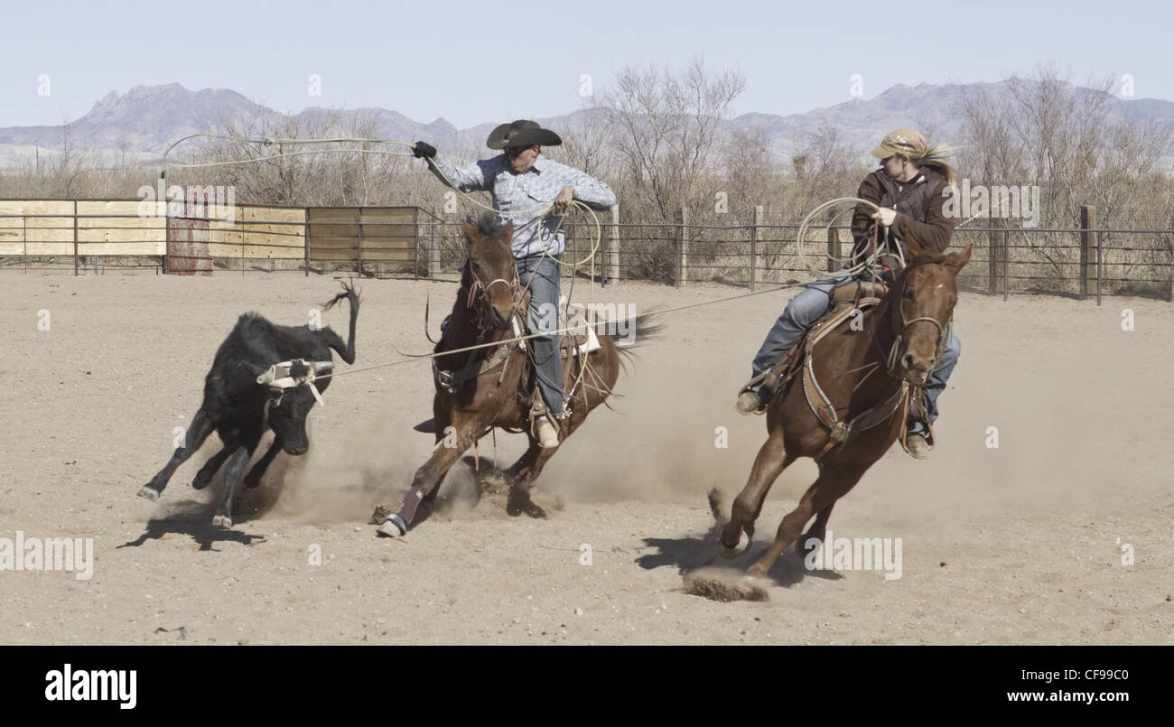 Team roping event in a small west Texas town Stock Photo - Alamy
