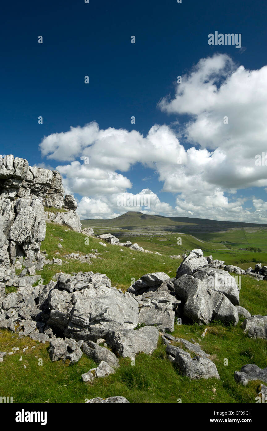 A limestone pavement is a natural karst landform consisting of a flat ...