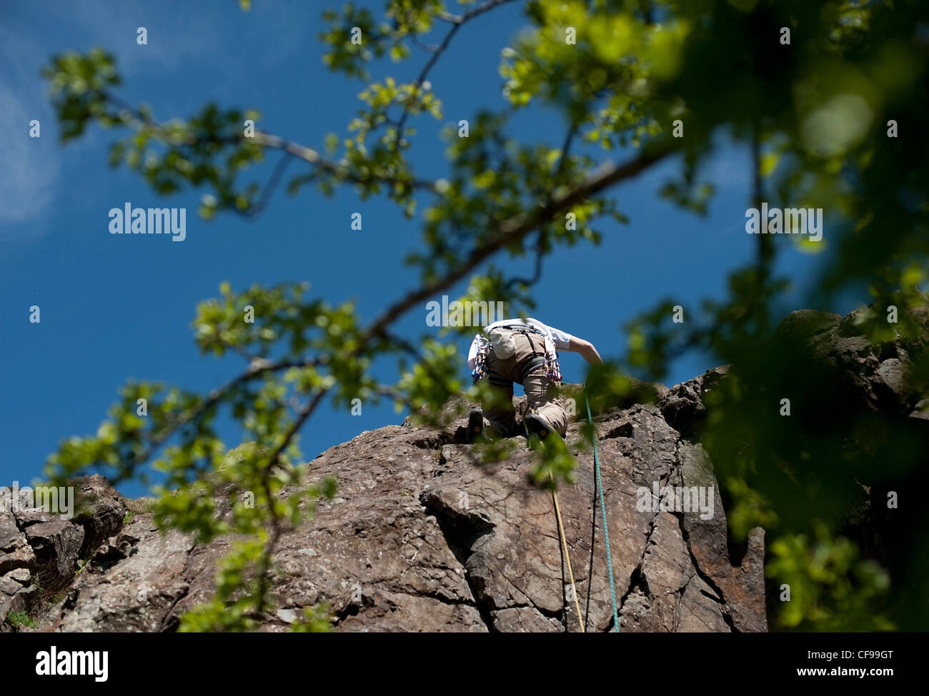 A rock climber nears the top of the dolerite rock cliff at Auchinstarry ...