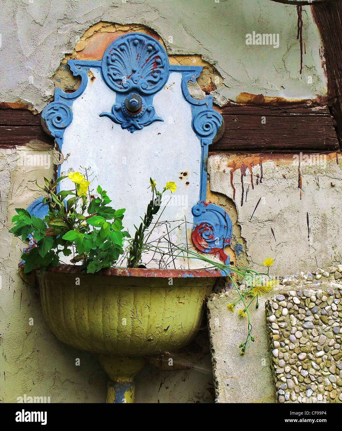 Wash basins, washing trough, old, flowers, Franconia, Germany Stock ...