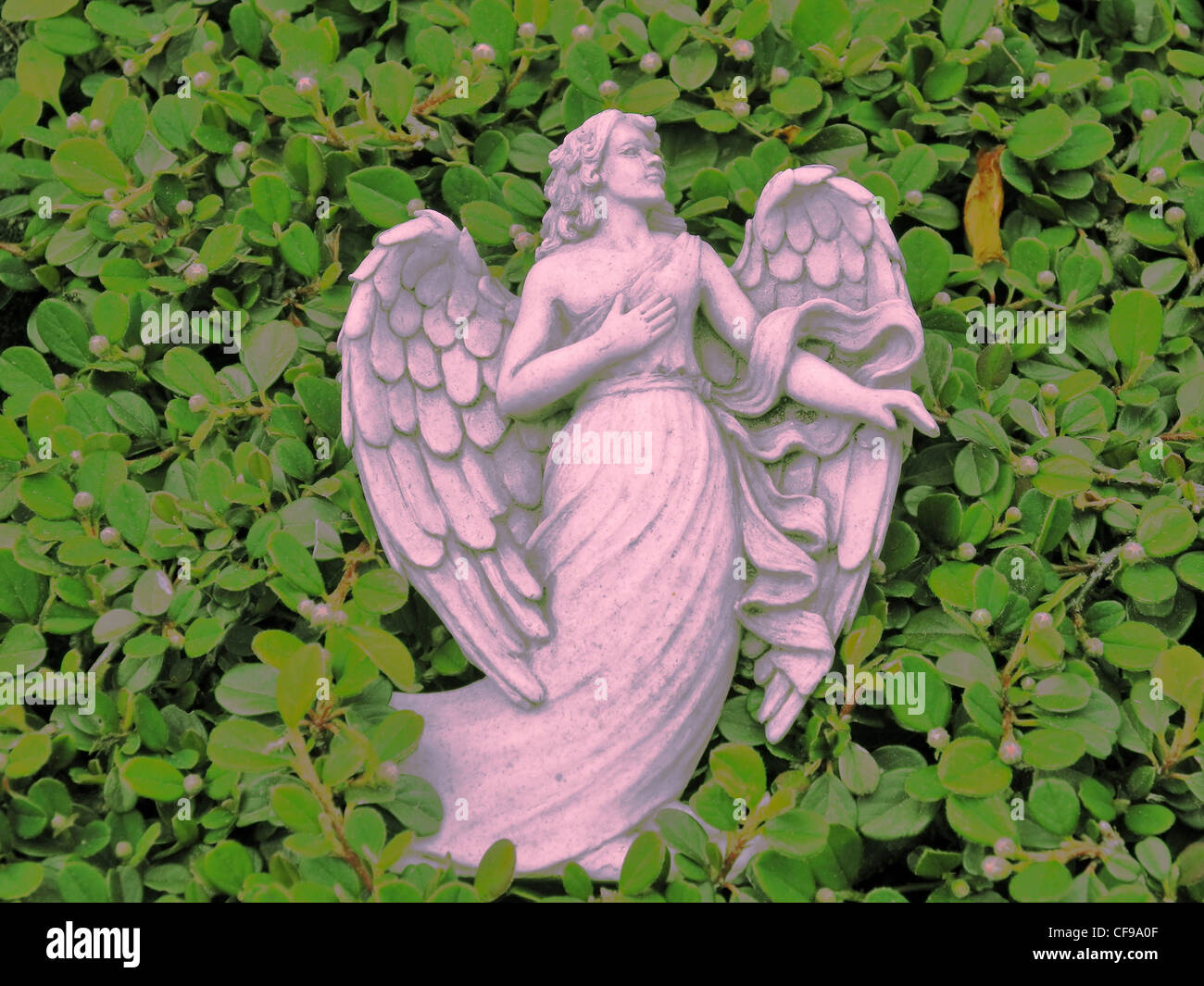 Woman and angel figure hi-res stock photography and images - Alamy