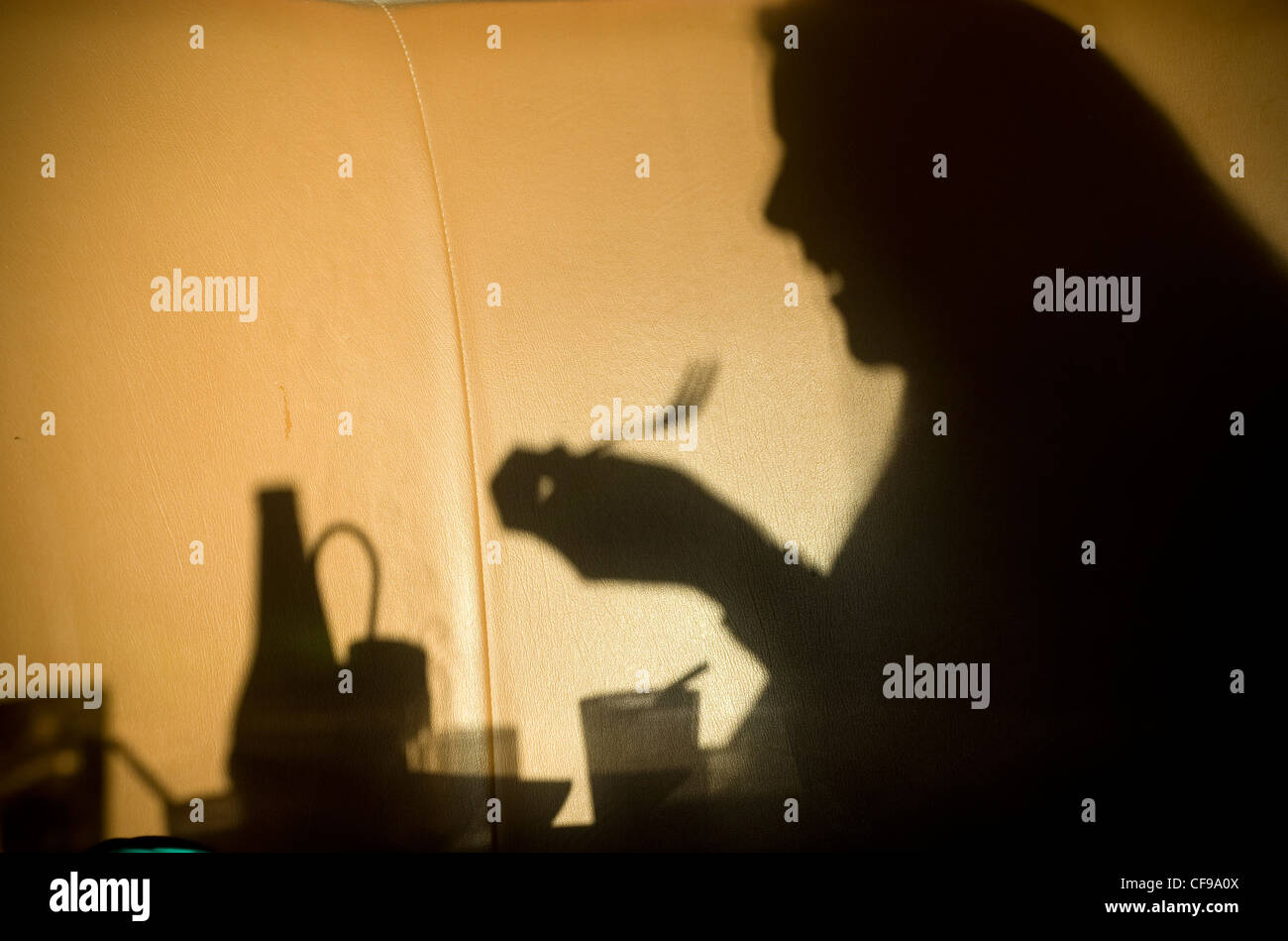 Dish fork shadow hi-res stock photography and images - Alamy