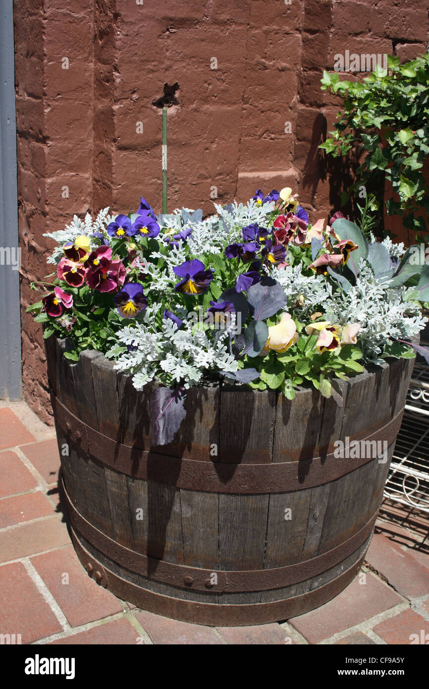 an arrangement of colorful flowers bloom in an old whiskey barrel Stock ...