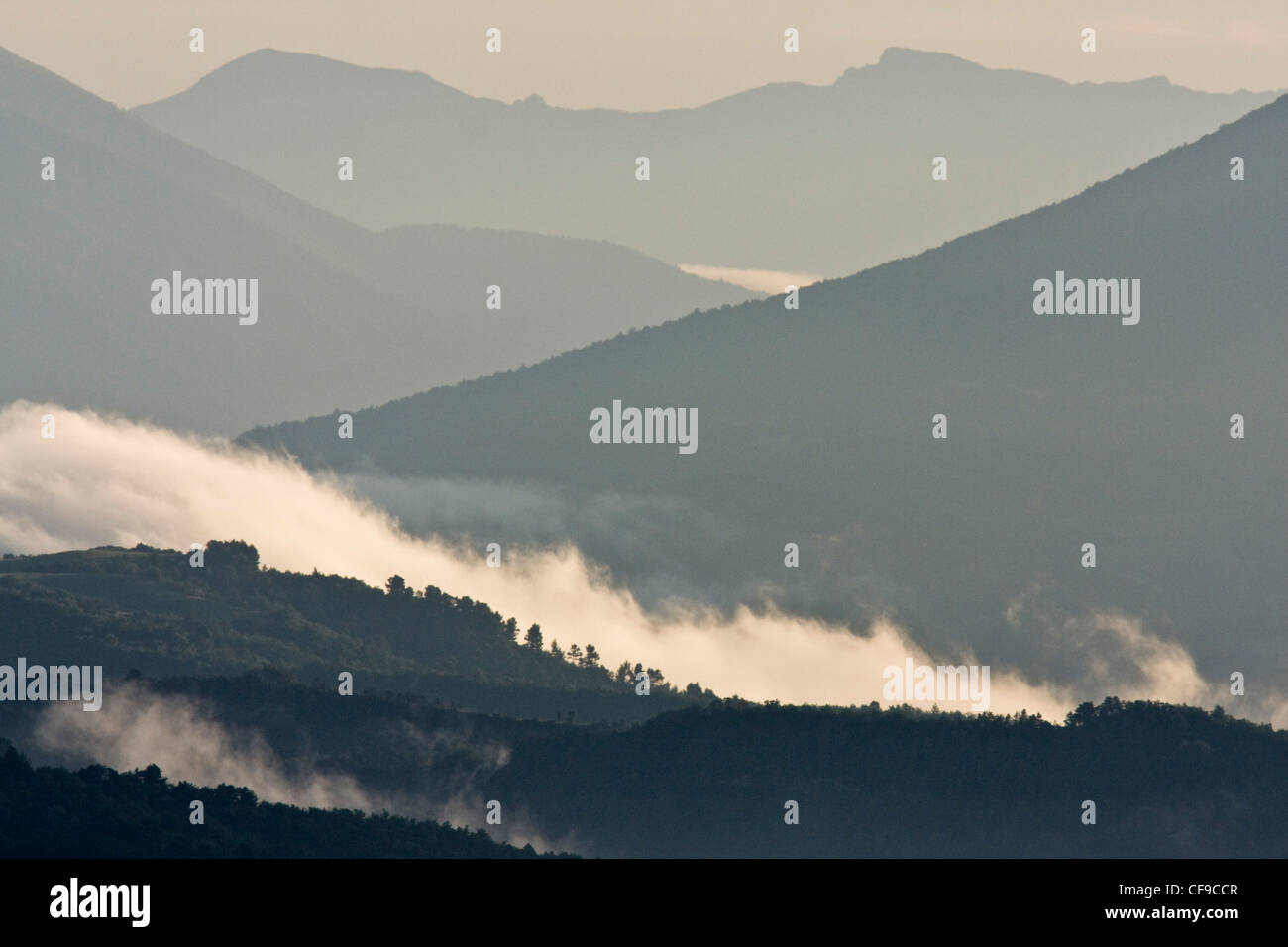 Valensole mist hi-res stock photography and images - Alamy