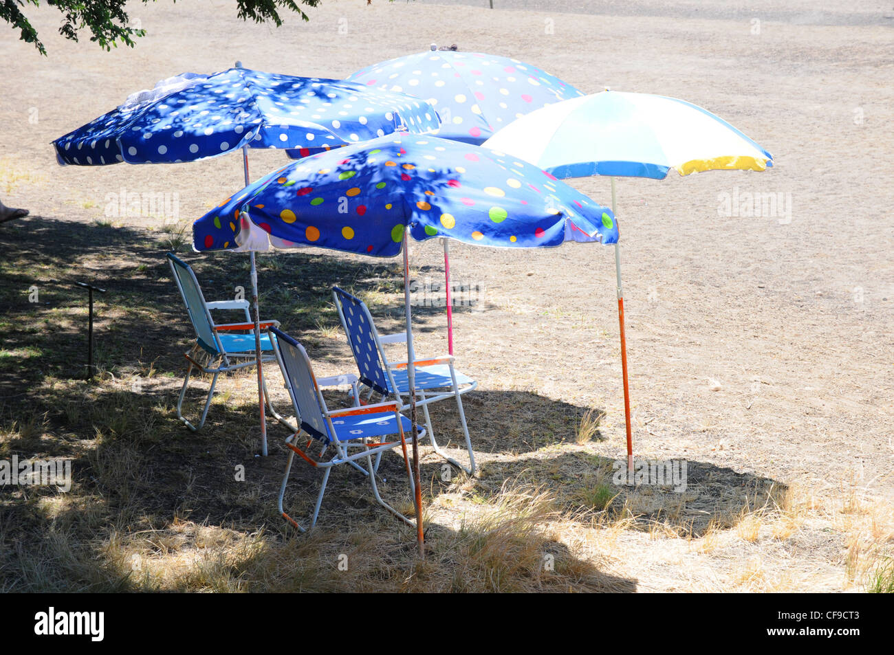 Sun shade umbrallas and chairs, beach, Pucon, Lake Villarrica, Chile ...