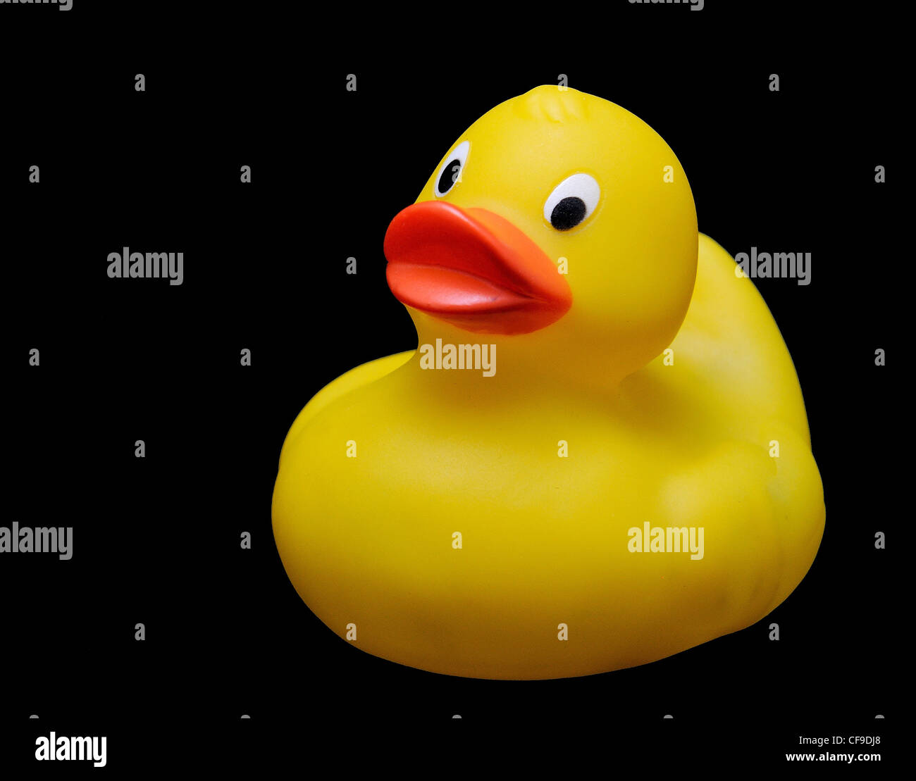 Classic plastic yellow duck placed on the black background Stock Photo ...