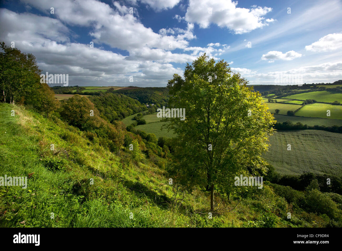 View over Countryside Torridge Valley, Torrington, Devon, England, UK ...