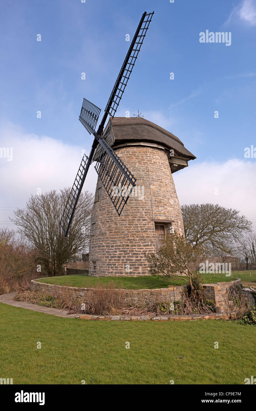 Stembridge hi-res stock photography and images - Alamy