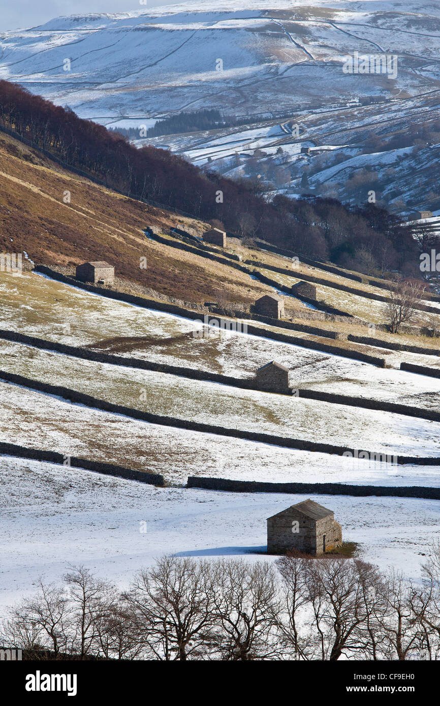 Upper Swaledale in winter, Yorkshire Dales National Park Stock Photo ...