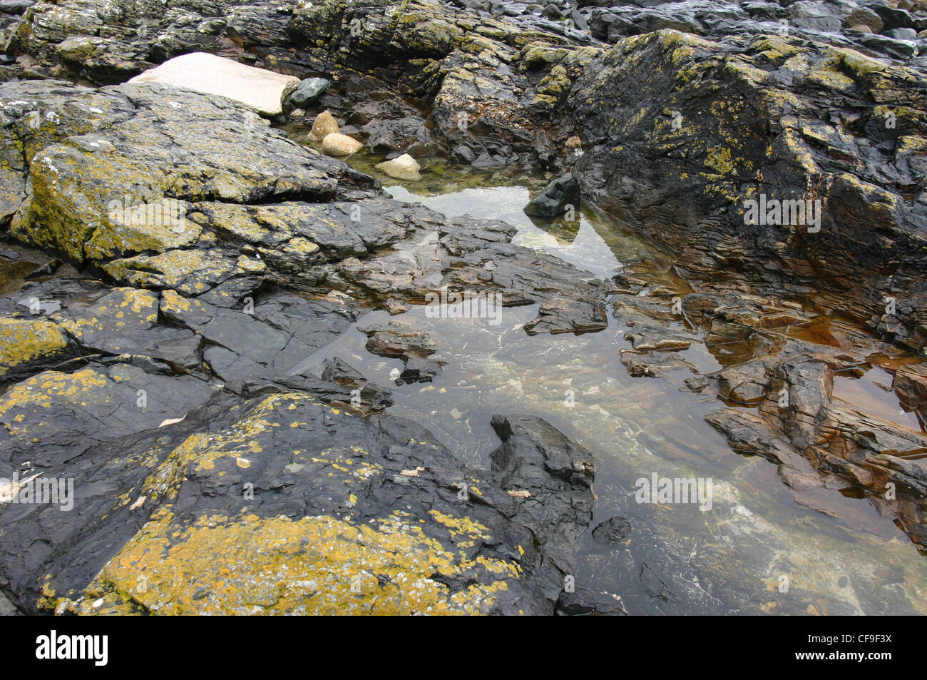 Cornwall rock pool hi-res stock photography and images - Alamy