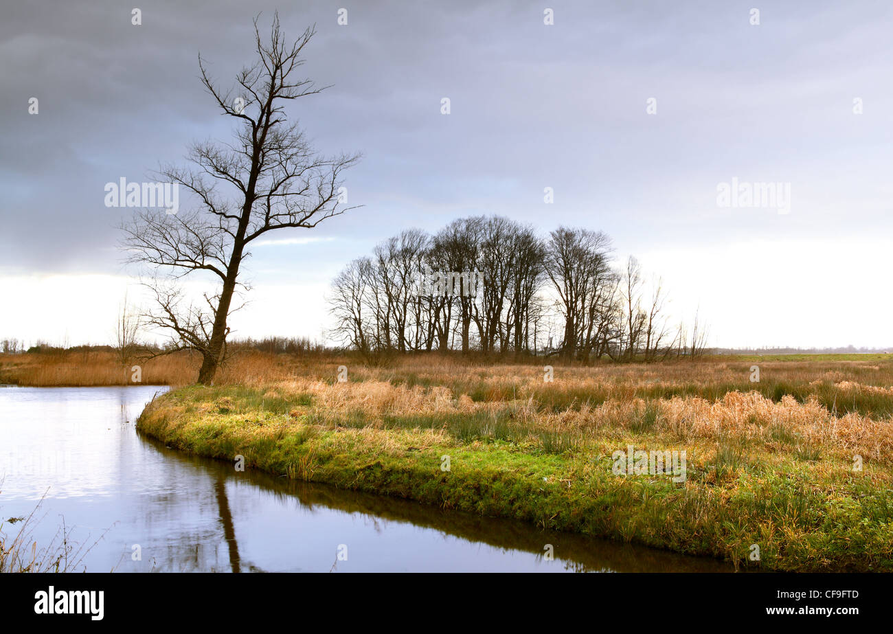 Sad landscape hi-res stock photography and images - Alamy