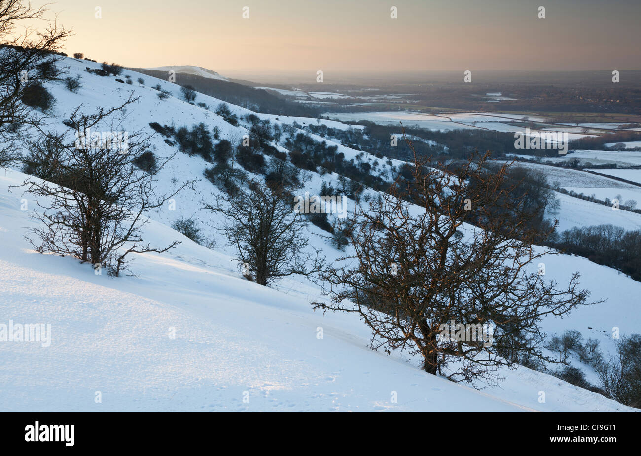 Snow on the South Downs near Ditchling Beacon, South Downs National ...