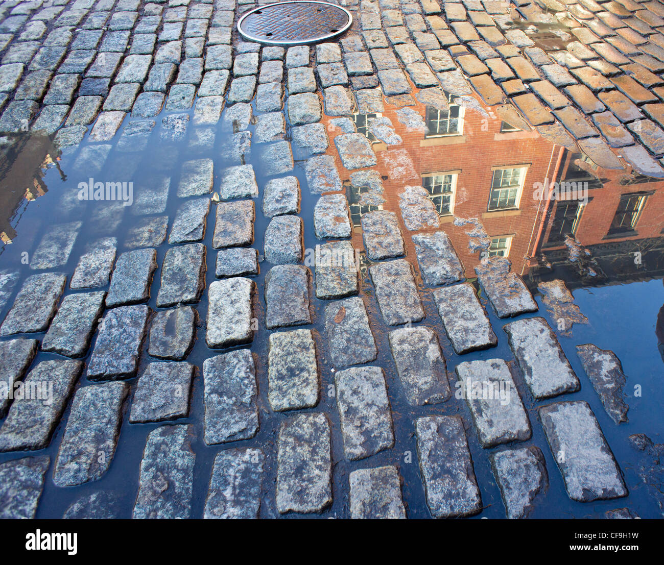 A detail of a street in the West Village neighborhood of New York paved ...