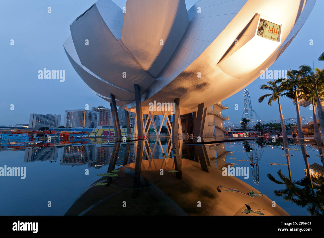 Reflection of ArtScience Museum on water at Singapore Stock Photo - Alamy