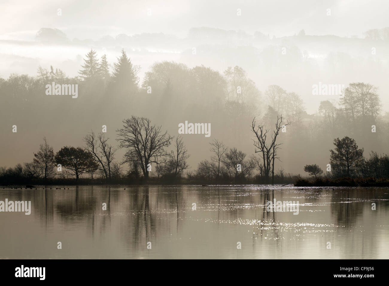 Castle Semple Loch mist clearing in Clyde Muirshiel Regional Park at ...