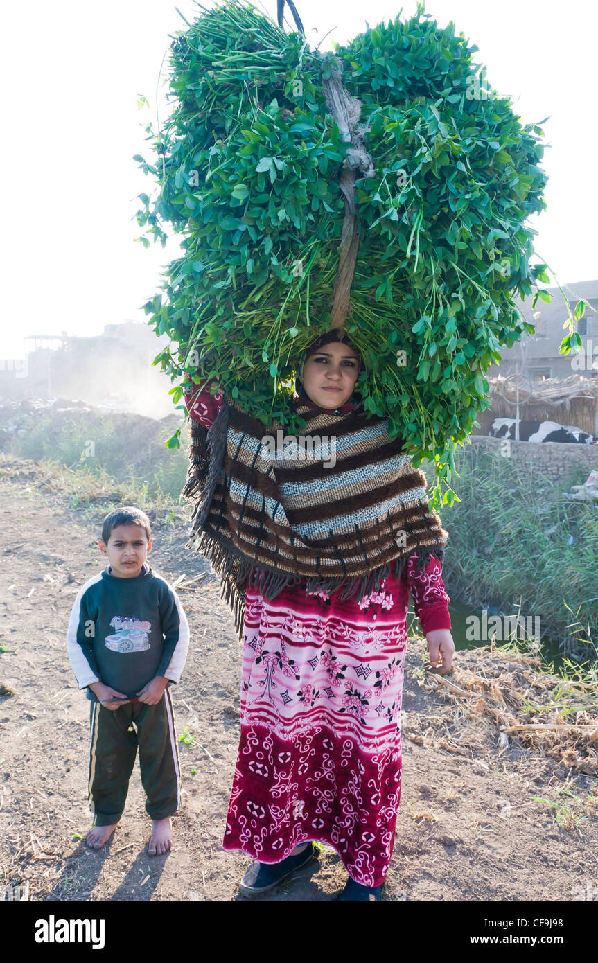 Child labor egypt hi-res stock photography and images - Alamy
