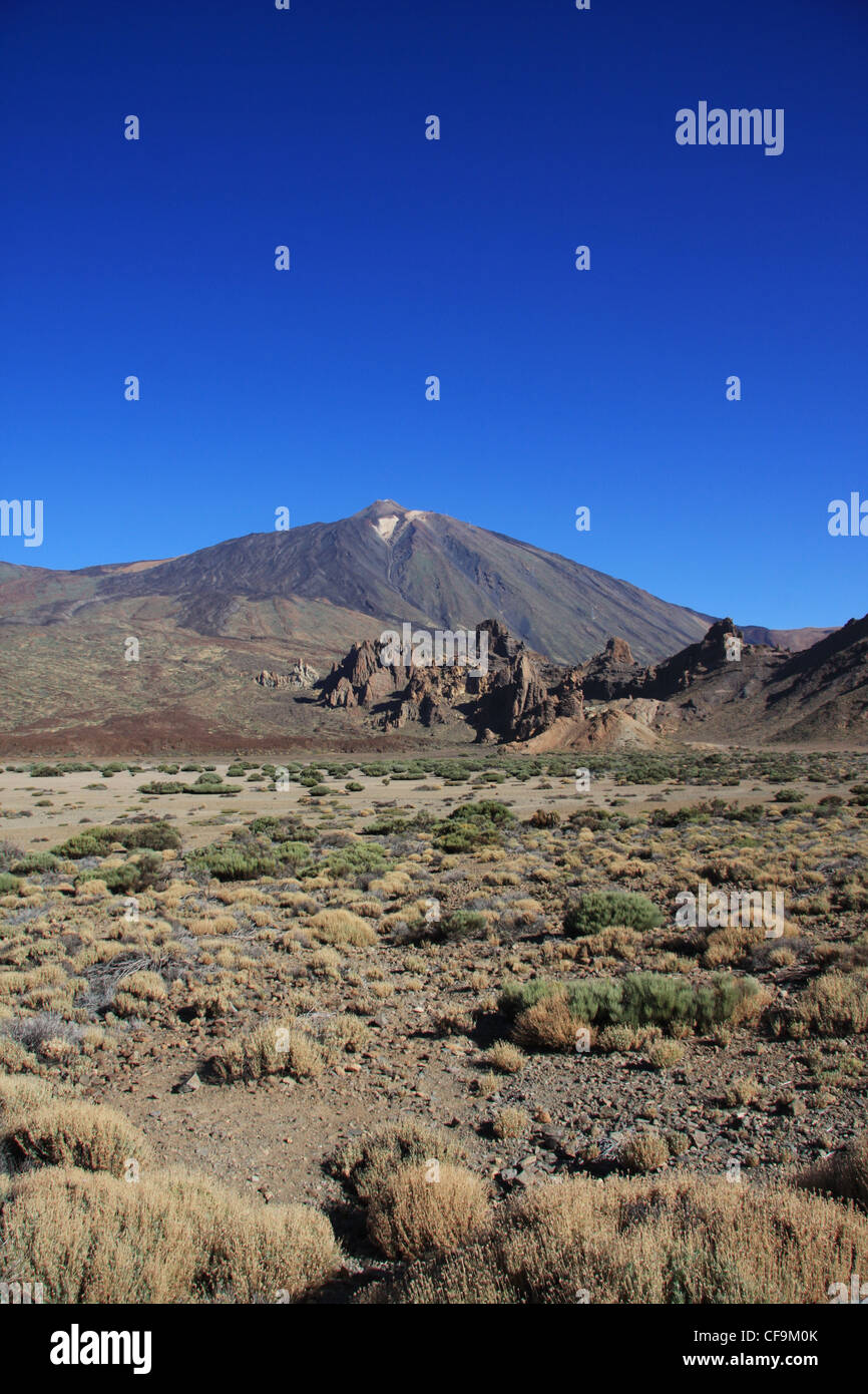 Tenerife, Canary islands, Spain, Europe, travel, tourism, holidays ...