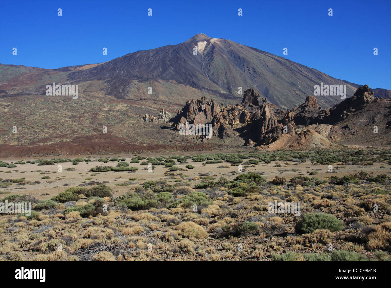 Tenerife, Canary islands, Spain, Europe, travel, tourism, holidays ...