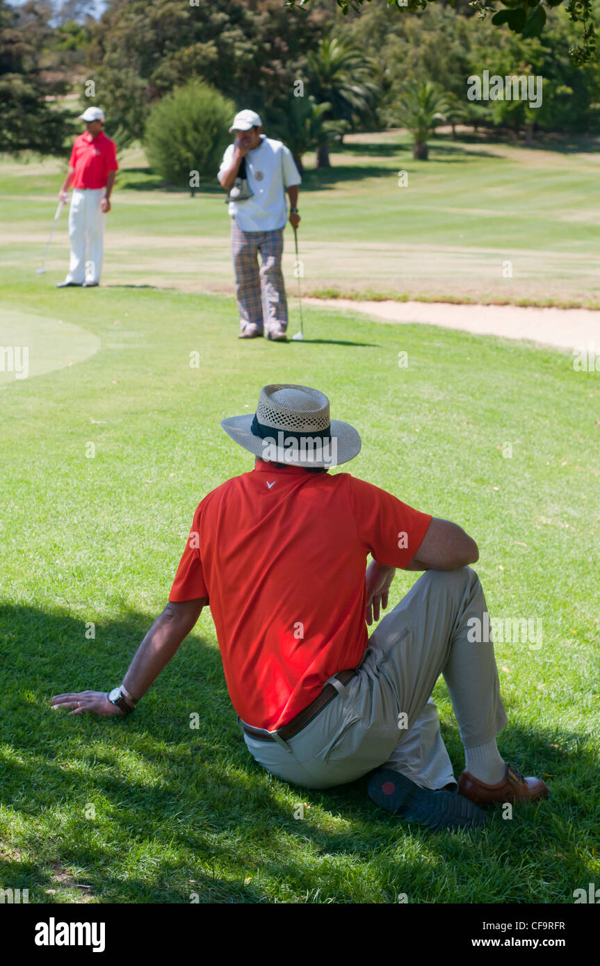 Green Spectators High Resolution Stock Photography and Images - Alamy