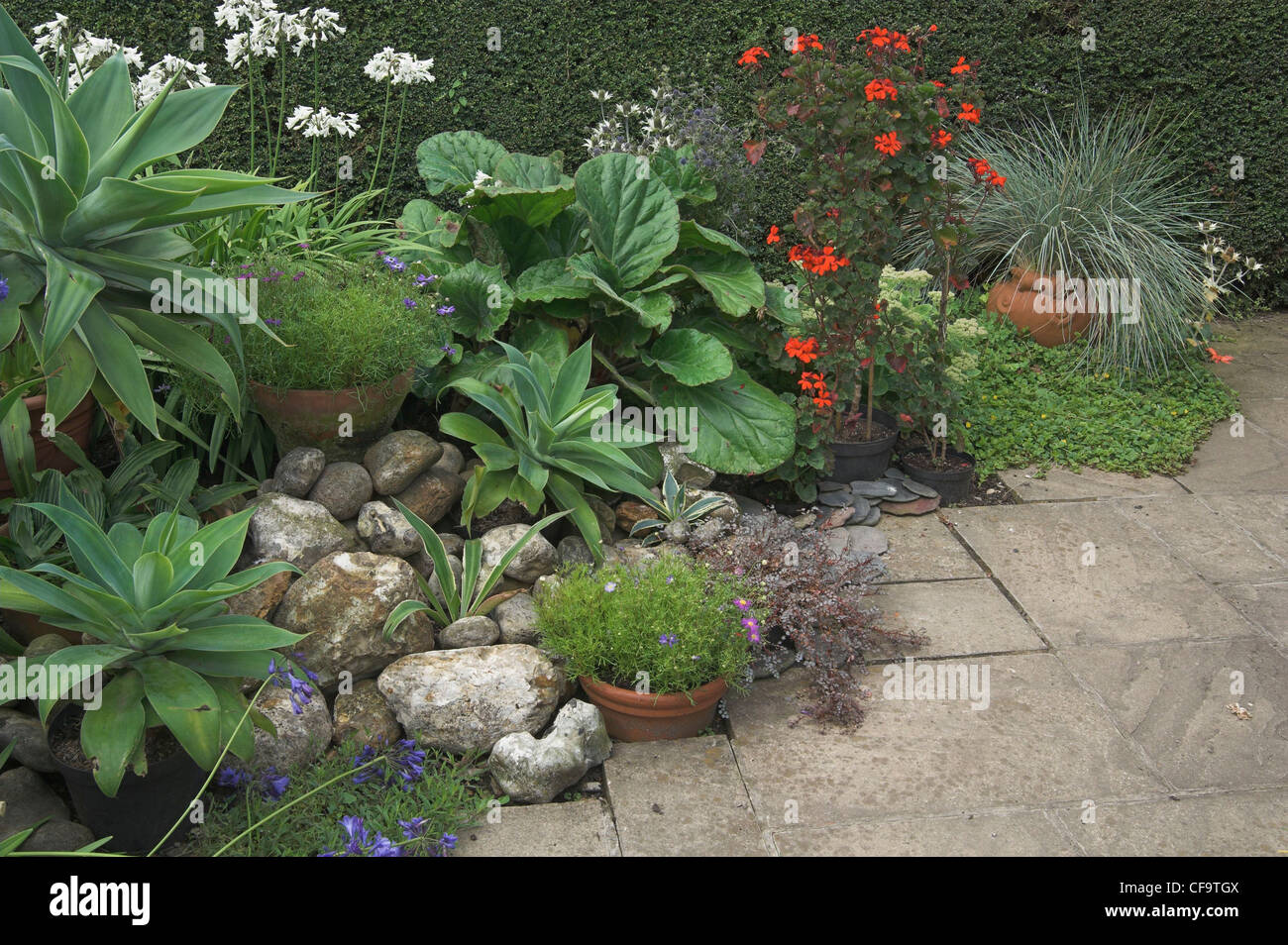 Planted border hi-res stock photography and images - Alamy
