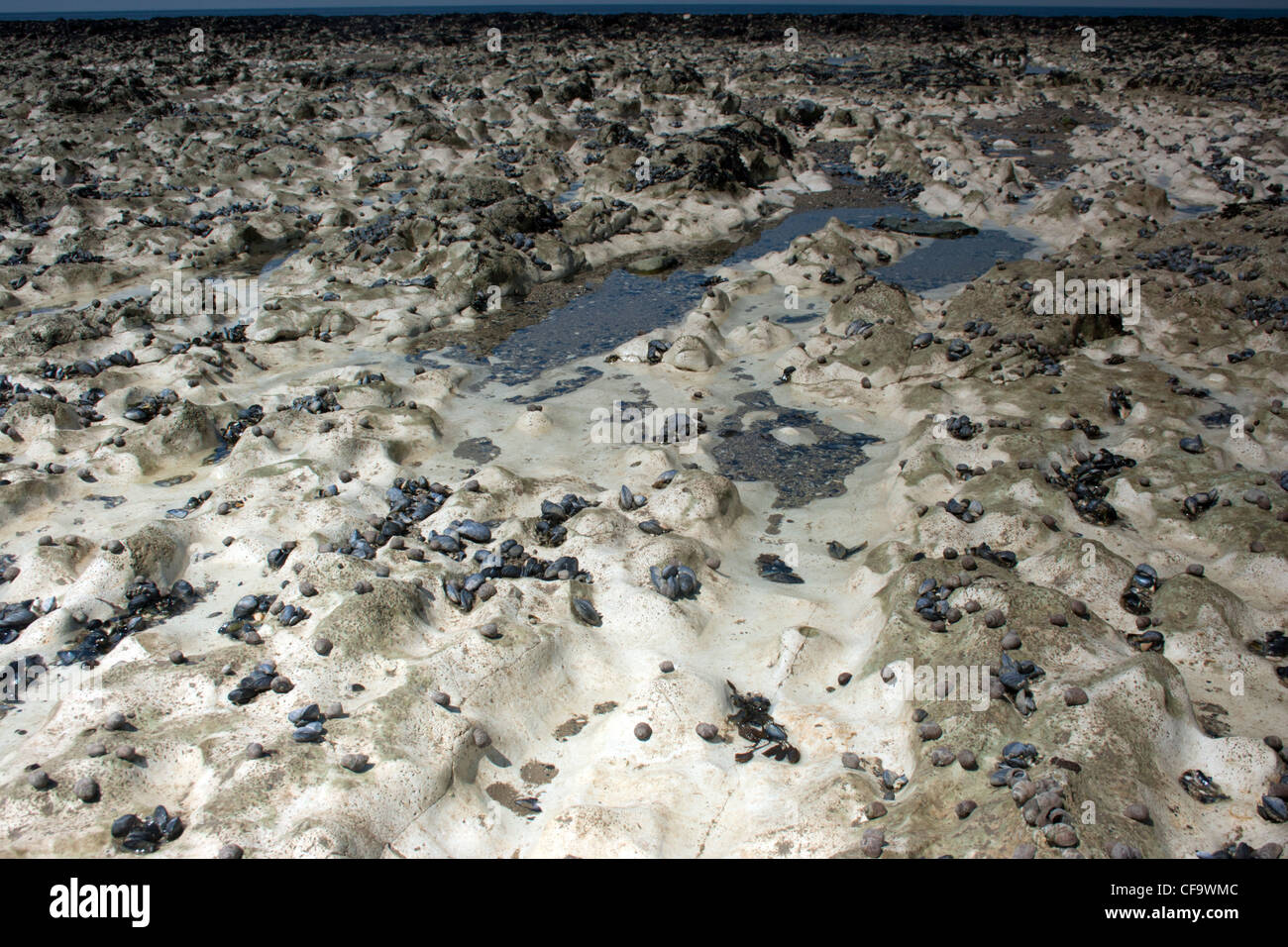 Minnis Bay Kent Stock Photo - Alamy