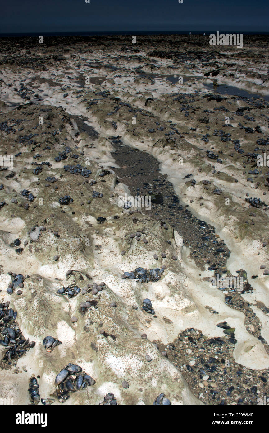 Minnis Bay Kent Stock Photo - Alamy