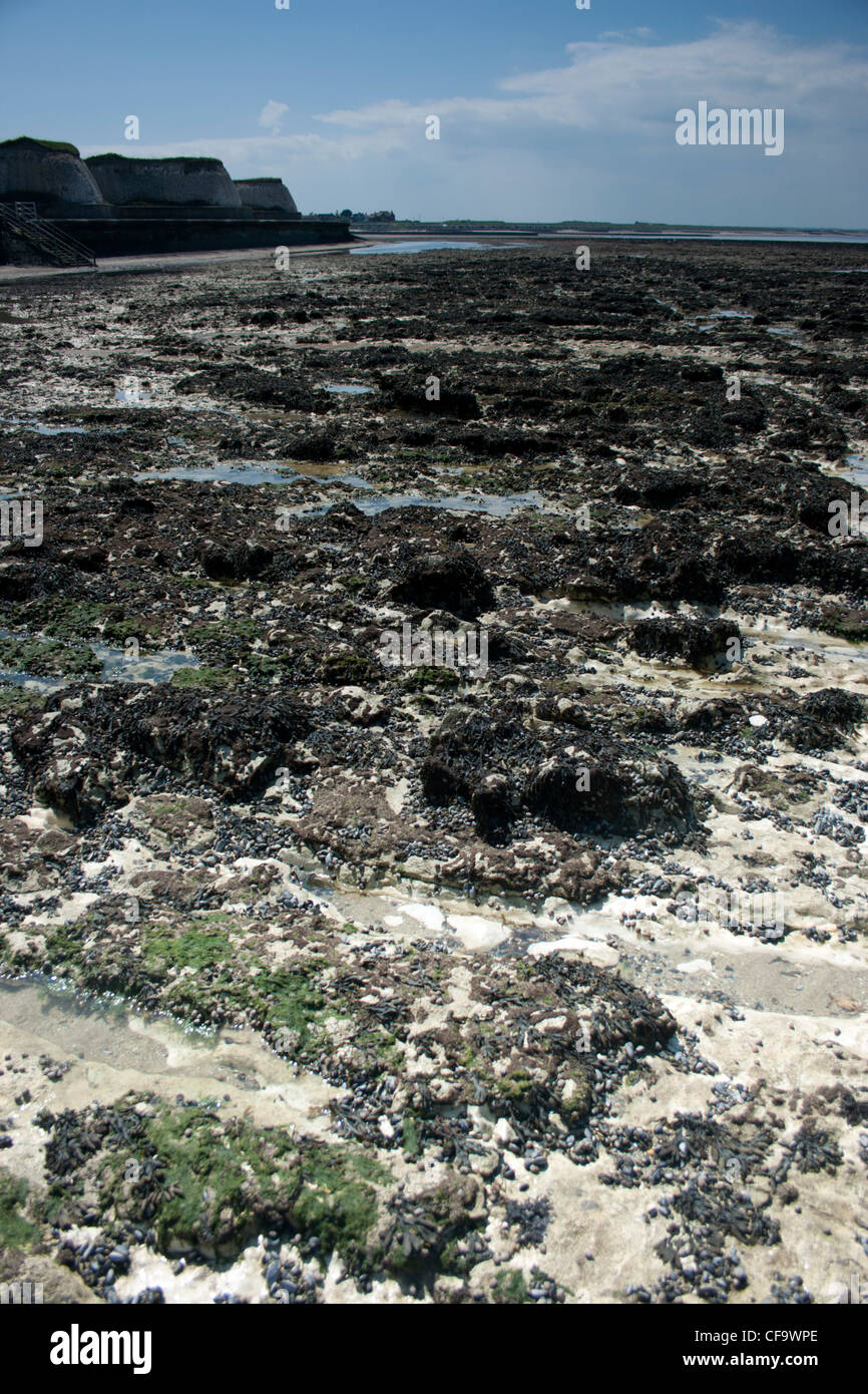 Minnis Bay Kent Stock Photo - Alamy
