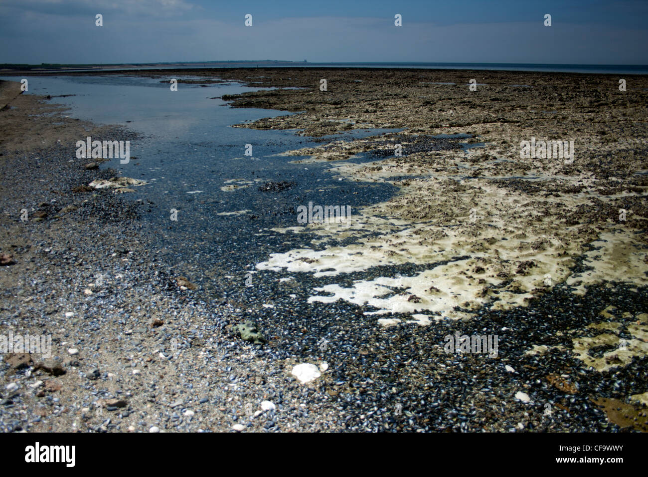 Minnis Bay Kent Stock Photo - Alamy