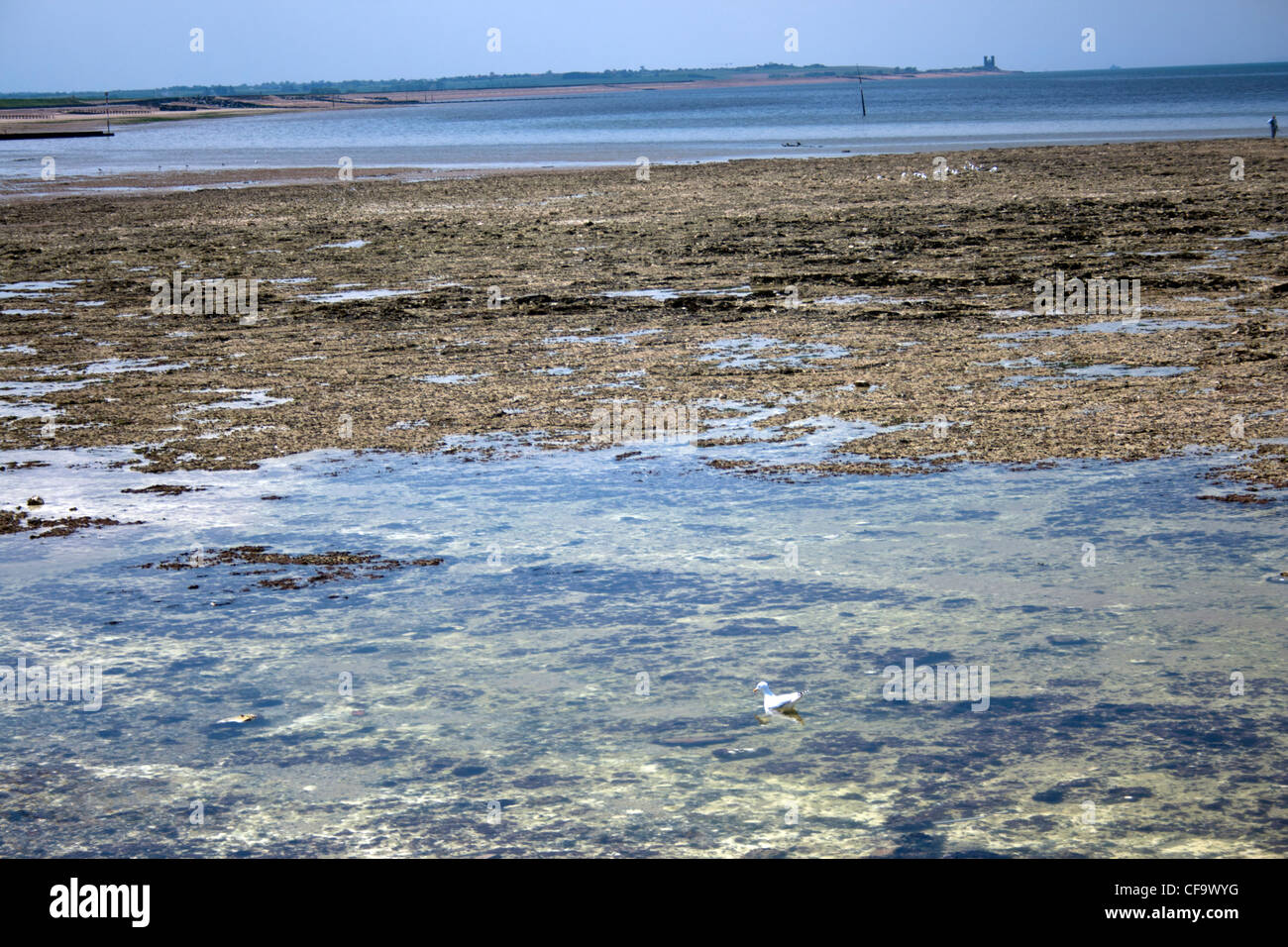 Minnis Bay Kent Stock Photo - Alamy